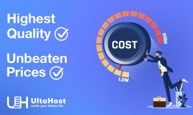 How UltaHost Servers are Secured using BitNinja? - Web Hosting Guides