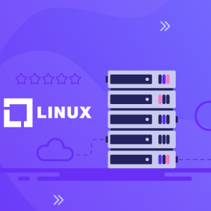 10 Best PHP Social Network Script | UltaHost Blog