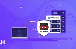 What are the 5 types of hosting? Detailed explanation | UltaHost Blog