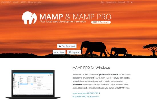 Best Web Servers for PHP Development | UltaHost Blog