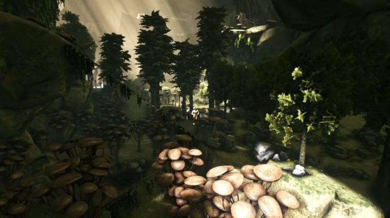 Top 5 Maps in Ark: Survival Evolved | UltaHost Blog