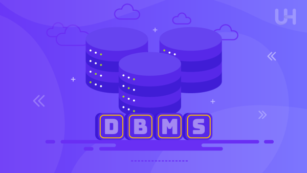 Pros and Cons of DBMS: Explained With Types | UltaHost Blog