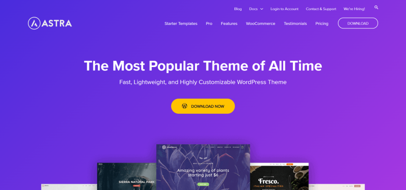 5 Best Affiliate WordPress Themes | UltaHost Blog