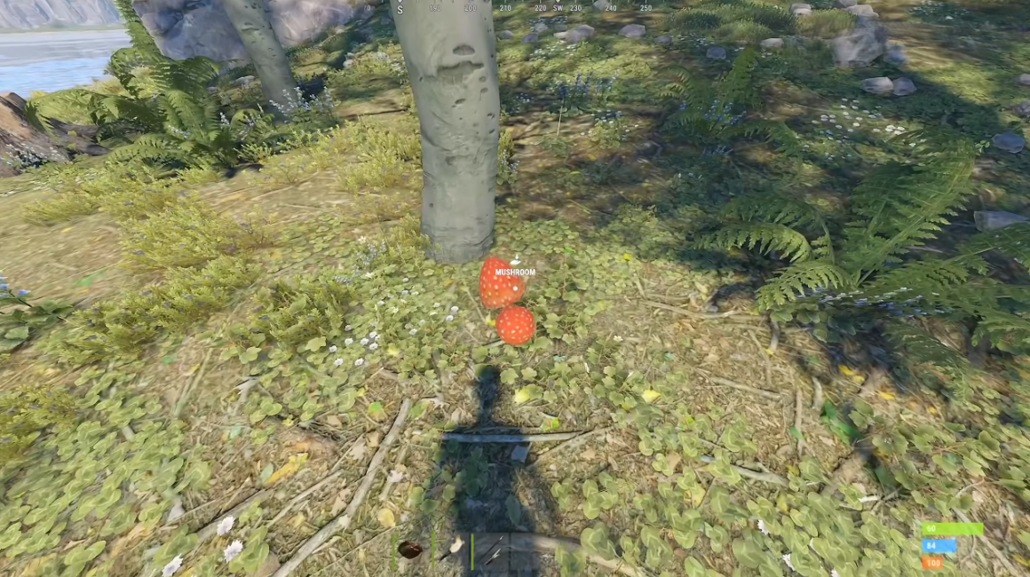 The Ultimate Rust Beginner's Guide: Master the Basics and Thrive | UltaHost Blog