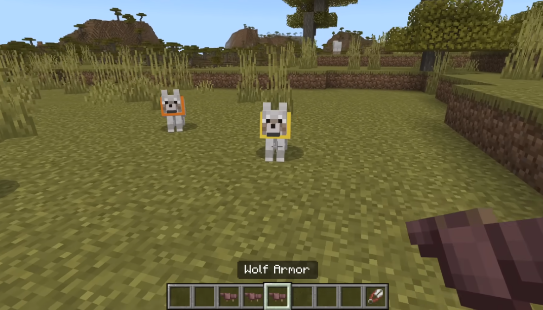 Exploring the New Armadillo Mob and Wolf Armor in Minecraft | UltaHost Blog
