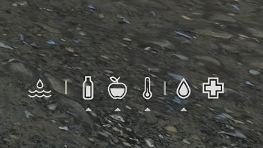 A Complete Beginner’s Guide to DayZ | UltaHost Blog