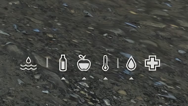 A Complete Beginner’s Guide to DayZ | UltaHost Blog