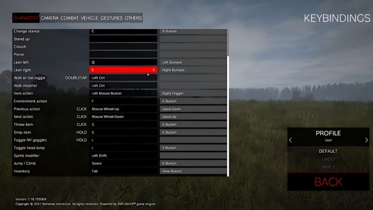 A Complete Beginner’s Guide to DayZ | UltaHost Blog