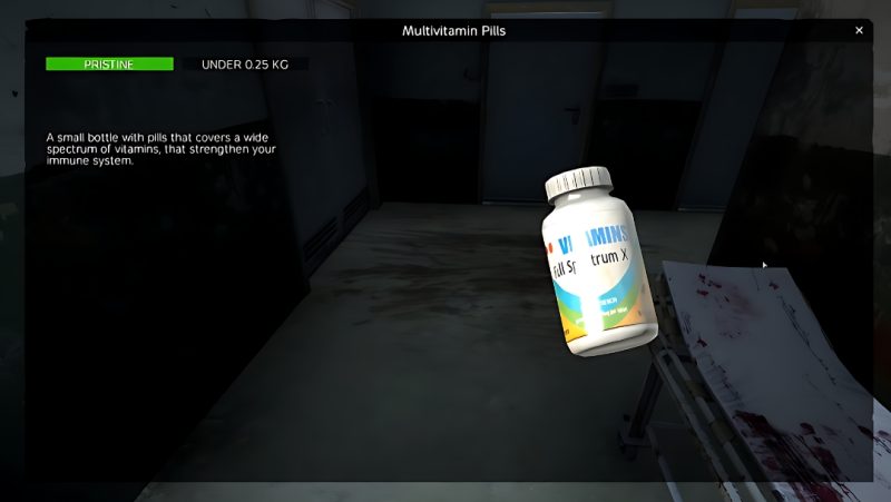 A Complete Beginner’s Guide to DayZ | UltaHost Blog