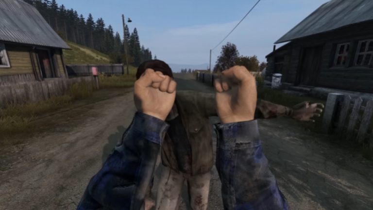 A Complete Beginner’s Guide to DayZ | UltaHost Blog