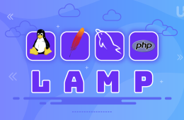 What is Localhost? A Comprehensive Guide for Developers | UltaHost Blog