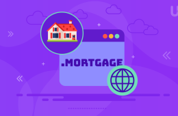 What Is a .NL Domain? How to Get a .NL Domain? | UltaHost Blog