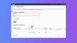 How to Setup a Subdomain Using cPanel | Ultahost Knowledge Base