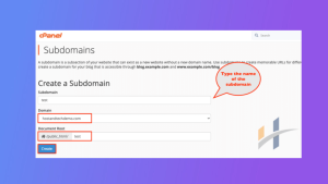 How to Setup a Subdomain Using cPanel | Ultahost Knowledge Base