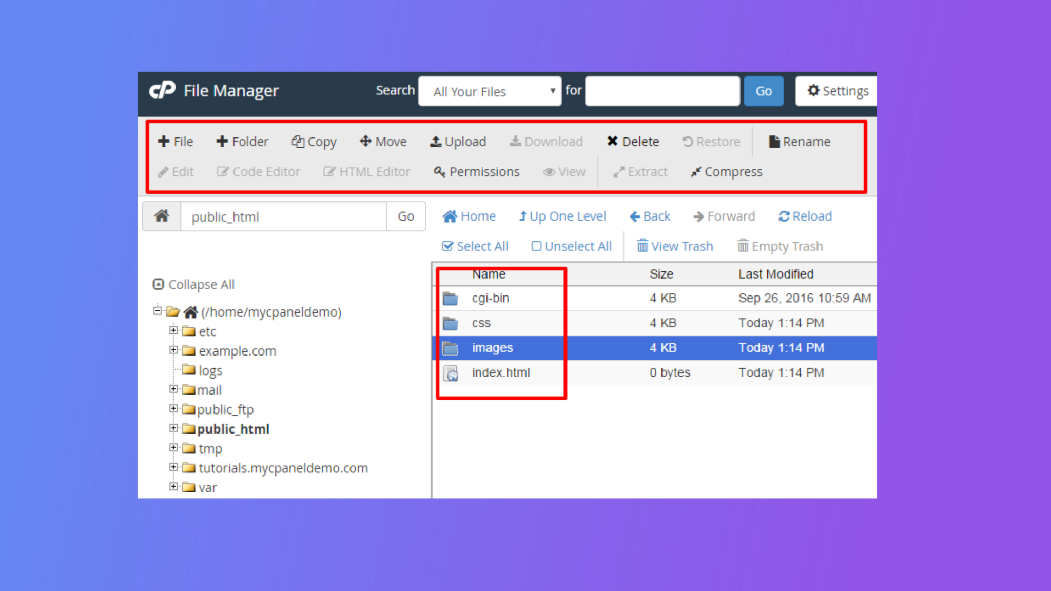 File Manager vs FTP | Ultahost Knowledge Base