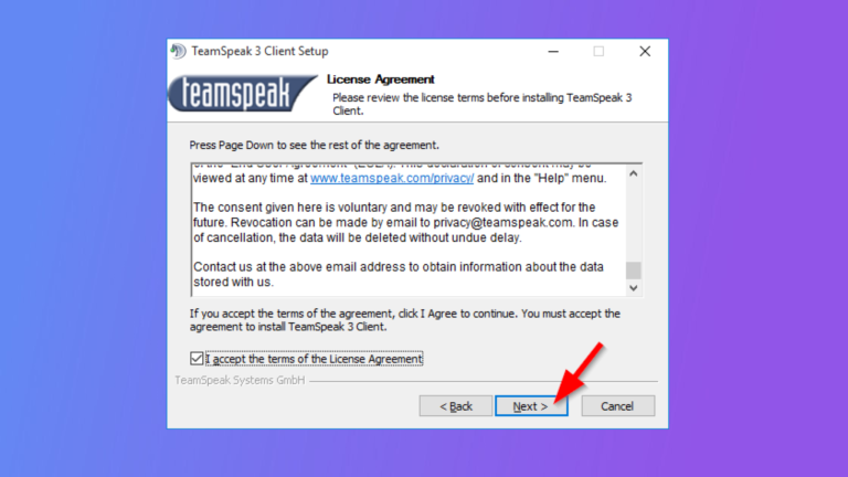 How To Create Teamspeak Server On Windows Server | Ultahost Knowledge Base