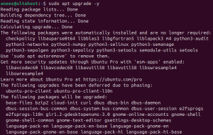 How to Install Webmin on Ubuntu | Ultahost Knowledge Base