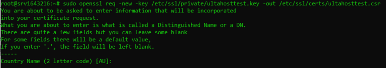 Install Wildcard SSL Certificate on Ubuntu 22.04 Server