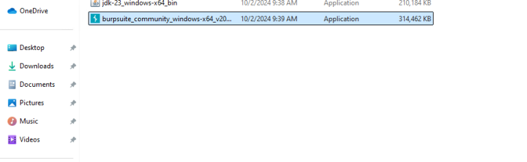 How to Install BurpSuite on Windows | Ultahost Knowledge Base