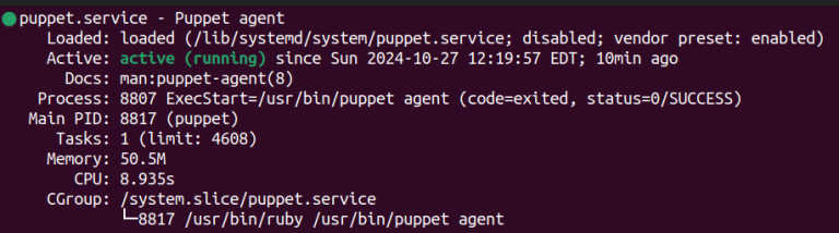 How to Install Puppet on Ubuntu 24.04 | Ultahost Knowledge Base