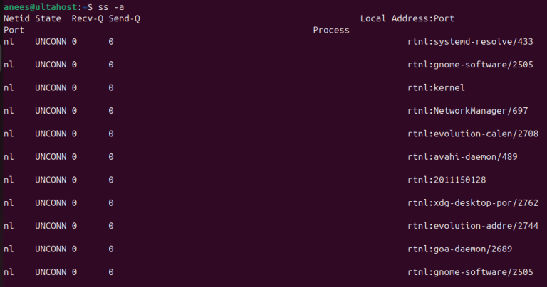 How to Use Linux SS (Socket Statistics) Command | Ultahost Knowledge Base