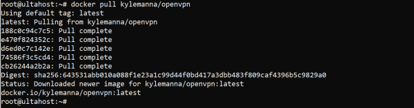 How to Install OpenVPN on Docker | Ultahost Knowledge Base