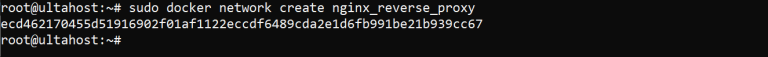 How To Set Up Nginx As Reverse Proxy For Docker Container 4164