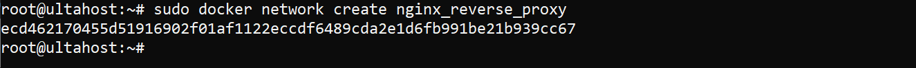 How to Set up Nginx as Reverse Proxy for Docker Container How to Set up Nginx as Reverse Proxy for Docker Container