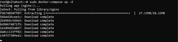 How to Set up Nginx as Reverse Proxy for Docker Container